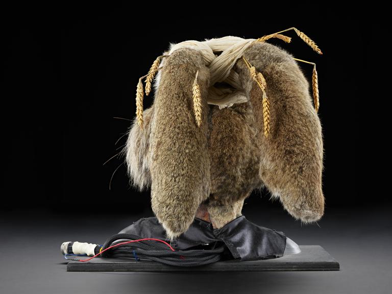 Animatronic head of the March Hare from 'Alice in Wonderland' | Science ...