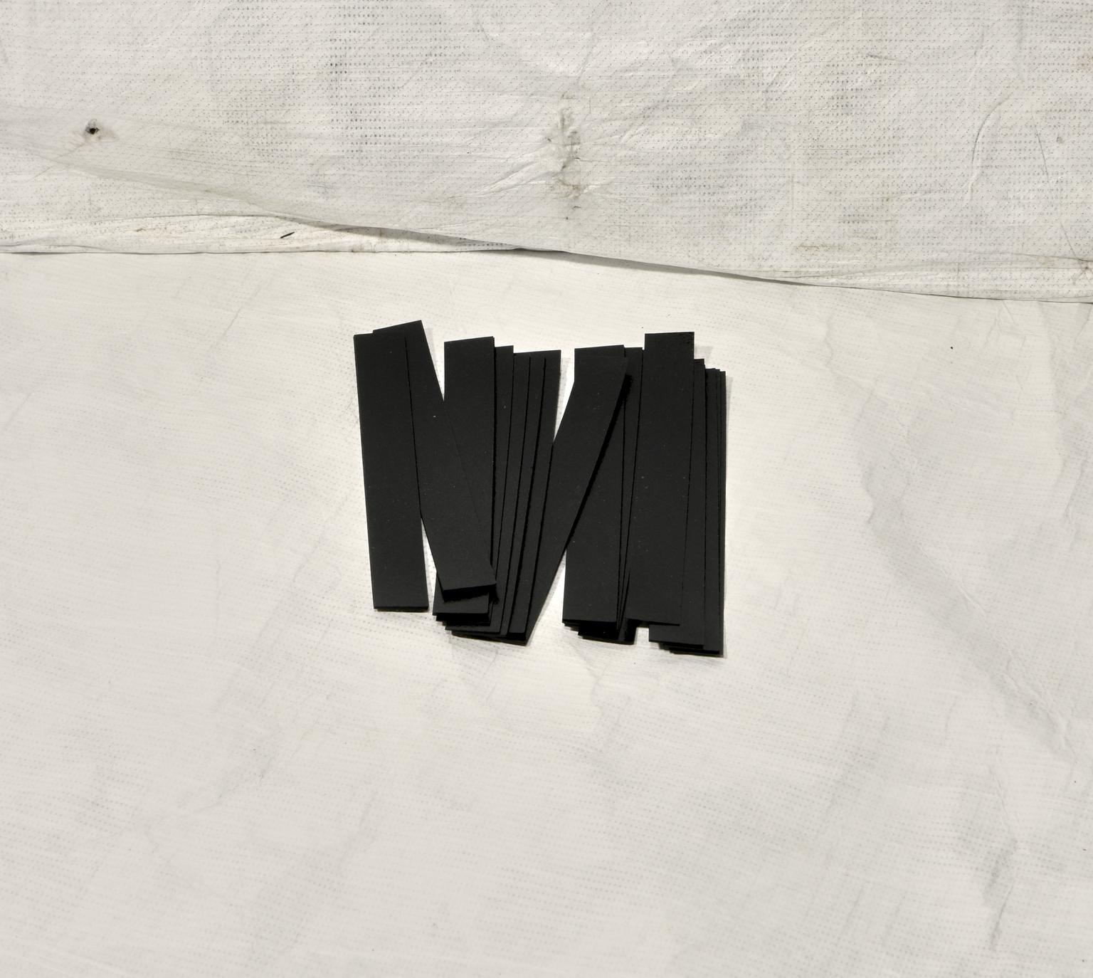 Butterfly Slide Binding Strips | Science Museum Group Collection