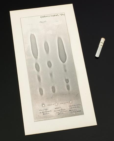 Sample of semi-synthetic penicillin, England, 1958-1960 | Science ...